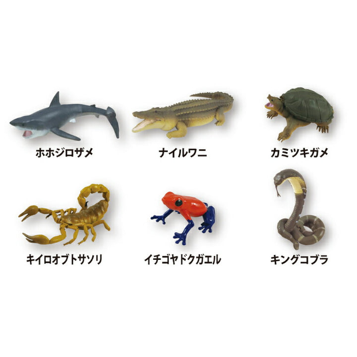 入浴剤「学研の図鑑ライブ」危険生物バスボール – バスグッズ専門店